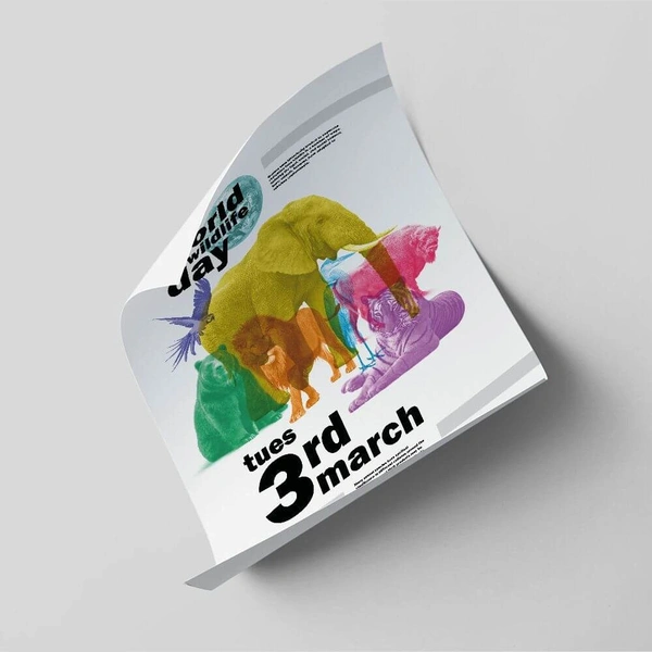 Bulk Posters | Kall Kwik WGC